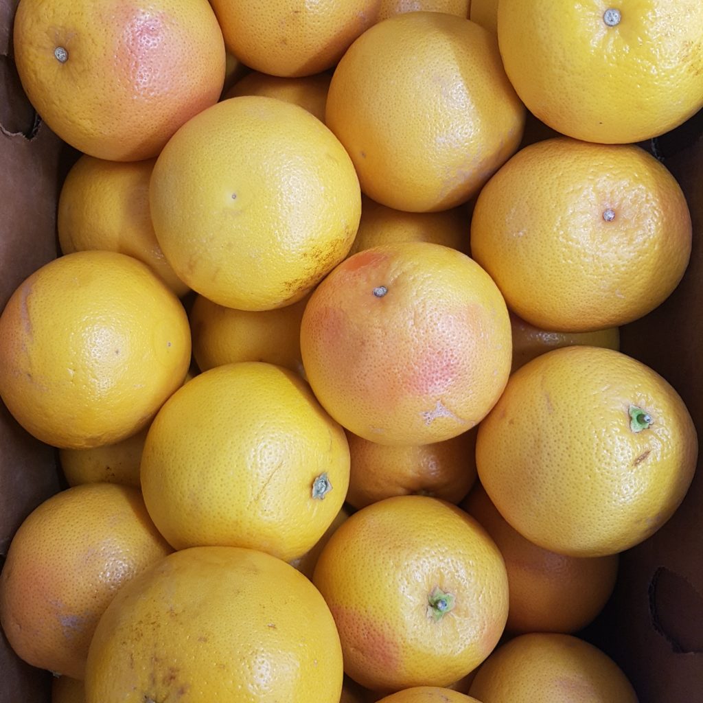 Texas Grapefruit – Prairie Foods